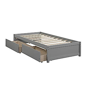Twin Size Platform Bed with 2 Storage Drawers,Twin Bed Frame with Storage, Solid Wood Daybed with No Headboard for Kids Teen Grils Boys,Easy Assembly (Gray)