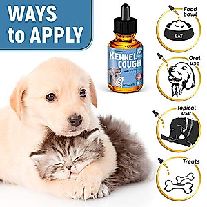 Dog Cough - Kennel Cough - Dog Allergy Relief - Supplements For Dogs & Cats Health - Allergy Relief Immune Supplement for Dogs - for Dry, Wet & Barkly Pet Cough - Suitable For All Sizes