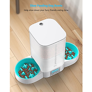 HoneyGuaridan Automatic Cat Feeder for Two Cats,3.5L Cat Food Dispenser with Slow Feeder Bowl,Timed Cat Feeder Programmable 1-6 Meals Control, Dual Power Supply,10s Meal Call White
