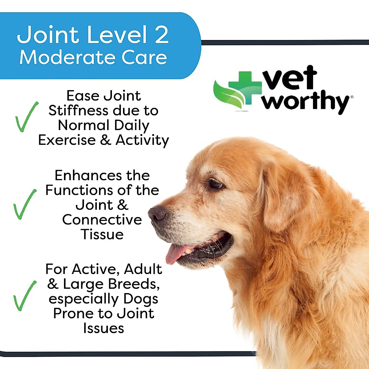 Vet Worthy Joint Support Level 2 | Eases Joint Stiffness Due to Normal Daily Exercise and Activity | Dog Supplement with Glucosamine, Chondroitin, Vitamin C, MSM | Liver Flavor Soft Chews 30 Count
