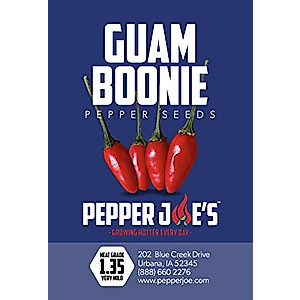 Pepper Joe’s Guam Boonie Pepper Seeds ­­­­­– Pack of 10+ Rare Hot Chili Pepper Seeds – USA Grown ­– Premium Non-GMO Boonie Pepper Seeds for Planting in Your Garden