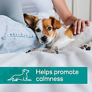 Vetality Calming Collar for Dogs, Separation Anxiety and Hip and Joint