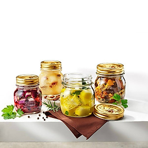 Bormioli Rocco Quattro Stagioni 18-Piece Canning Starter Set (4) 8.5 and (4) 17-Ounce Jars (8) Caps, Funnel, Recipe Book