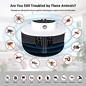 Diaotec Squirrel Repeller Ultrasonic Repellent Plug in Mouse Rodent Deterrent with 4 Modes for Rats Squirrel Mosquito Spider Mites Bugs Cockroach-Safe for Pet