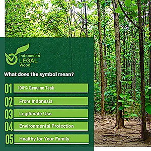 TEAKMAMA 20" Teak Wood Modern Folding Shower Seat Bench, Aluminum Wall-Mounted Foldable Chair Bathroom Stool, Smooth Wood Texture with Rustproof Metal Material, Sturdy to sit for Adults Kids