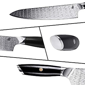 TUO Chef Knife 10 inch - Pro Kitchen Cooking Knife, AUS-8 Japanese Stainless Steel Chef's Knife with Ergonomic G10 Handle, Japanese Gyuto Knife with Gift Box - FALCON S SERIES