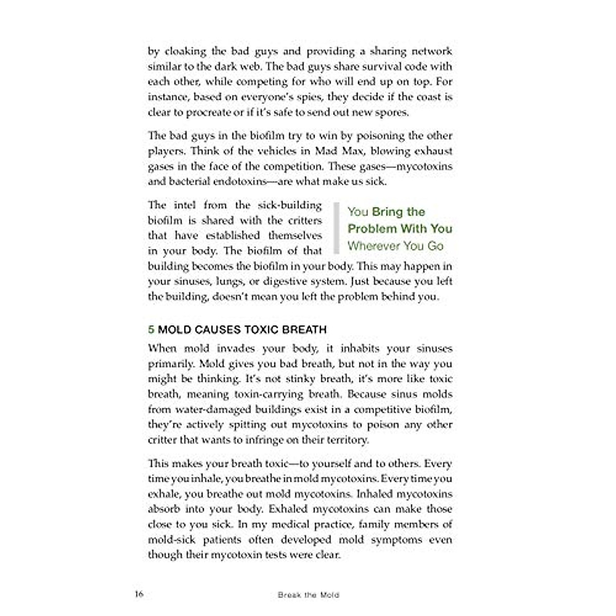 Break the Mold: 5 Tools to Conquer Mold and Take Back Your Health