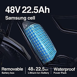 POLARNA Electric Bike for Adults 20" ebike Full Suspension 1000W Motor Samsung 48V 22.5Ah Removable Battery Fat Tire Electric Bike Mountain Beach Snow Bike 32MPH