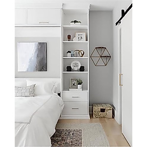 Tlongxia Murphy Bed Kit DIY Hardware with Coarse Gas Bumper Spring Frame Mattress Concealed for Semi-Automatic Foldable Cabinet Closet Bed Room Study Easy to Install (Vertical, Full)