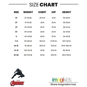 Marvel Avengers Black Panther Toddler Boys 2 Pack Long Sleeve Graphic T-Shirts Black Panther 5T