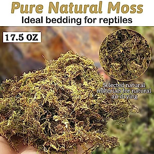 kathson Sphagnum Moss for Reptiles, 17.5 Oz Natural Dried Moss, Reptiles Peat Moss, Natural Sphagnum Moss, Frog Moss for Leopard, Long Fibered Dried Moss for Tortoise/Bearded Dragon/Snake/Lizard