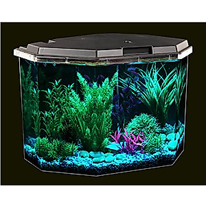 Koller Products 6.5-Gallon Aquarium Kit with Power Filter and LED Lighting, (AP650)