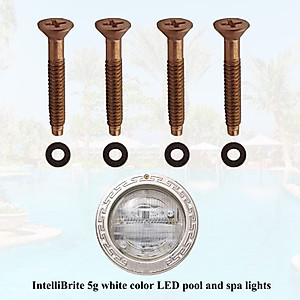 Zeiboat 4 Pack 79104800 Spa and Pool Light Screws with Gum Washers, Pool Screw Replacement