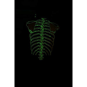 Calhoun Men's Glow in The Dark Skeleton Costume Zip Hoodie (Black, X-Large)