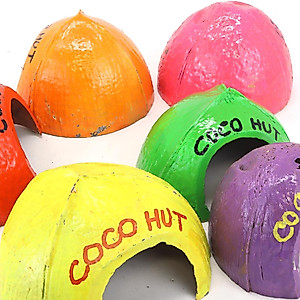 Needzo Hermit Crab Coconut Hut, Small Hideout for Pet Habitat, Color and Size May Vary, 2.25 to 3 Inches