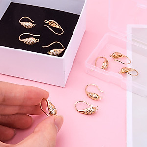 10pcs 14K Gold Cubic Zirconia Earring Hooks Brass French Fish Hooks Ear Wires with Loop Hole Dangle Earrings Connectors with a Plastic Box for Girls Women DIY Jewelry Making