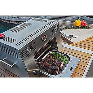 Schwank 1500°F Portable Infrared Grill, Stainless Steel, Propane (LP), Made in USA