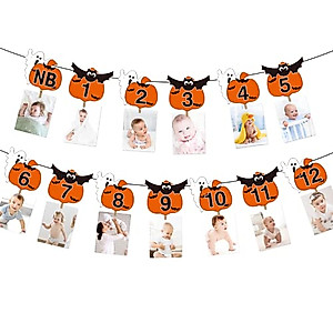 Halloween 12 Month Photo Banner with clip for Halloween First Birthday Decorations Halloween 1st Birthday Photo Banner for Boy/Girl The Spooky One Birthday Party Decorations