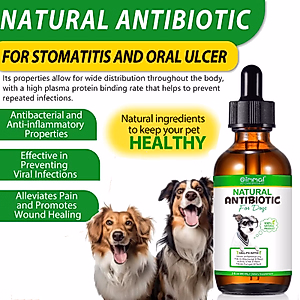 Natural Antibiotics for Dogs - Pet Antibiotic - Healing Aid and Skin Repair for Wounds, Sores, and Abrasions, Helps with Itchy and Irritated Skin - Duck Flavor