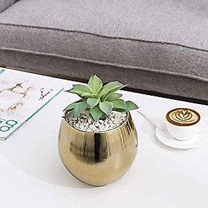 MyGift 6-Inch Brushed Brass Plated Metal Table Vase - Round Bowl-Shaped Succulent Planter Pot - Handcrafted in India