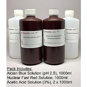 Alcian Blue (pH 2.5) Stain Pack, 1000ml