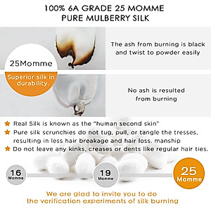 DelTeck Luxurious Silk Scrunchies, 100% Real 25 Momme Silk Hair Scrunchies, No Crease & Protect Hair Premium Scrunchies, Silk Hair Ties, Sleep and Night Scrunchie (Top Grade Mulberry Silk)