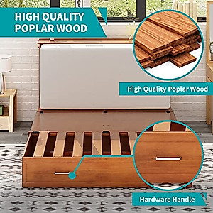 BALUS Modern Murphy Bed Cabinet with Mattress,Muti-Functional Cube Cabinet Bed with USB Charging Station&2 Large Drawers&3 Level Folding Foam Mattress for Apartment/Living Room/Loft,Queen (Redwood)