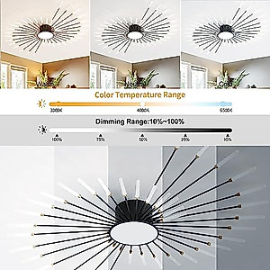 51 Inch Dimmable LED Ceiling Light Fixture,42 Lights Ceiling Lights Flush Mount Chandelier Black Indoor Lighting for Living Room,42W+12W Firework Deco Close to Ceiling Light with Remote Control