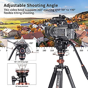 Cayer CF2451 Video Tripod 77 inches Carbon Fiber Tripod Leg with Fluid Drag Head, 4-Section Compact DSLR Tripod Convertible to Monopod for DSLR Camera, Video Camcorder