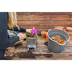 SuperMoss (22330) Orchid Sphagnum Moss Dried, Natural, 2.1lbs Small Bale