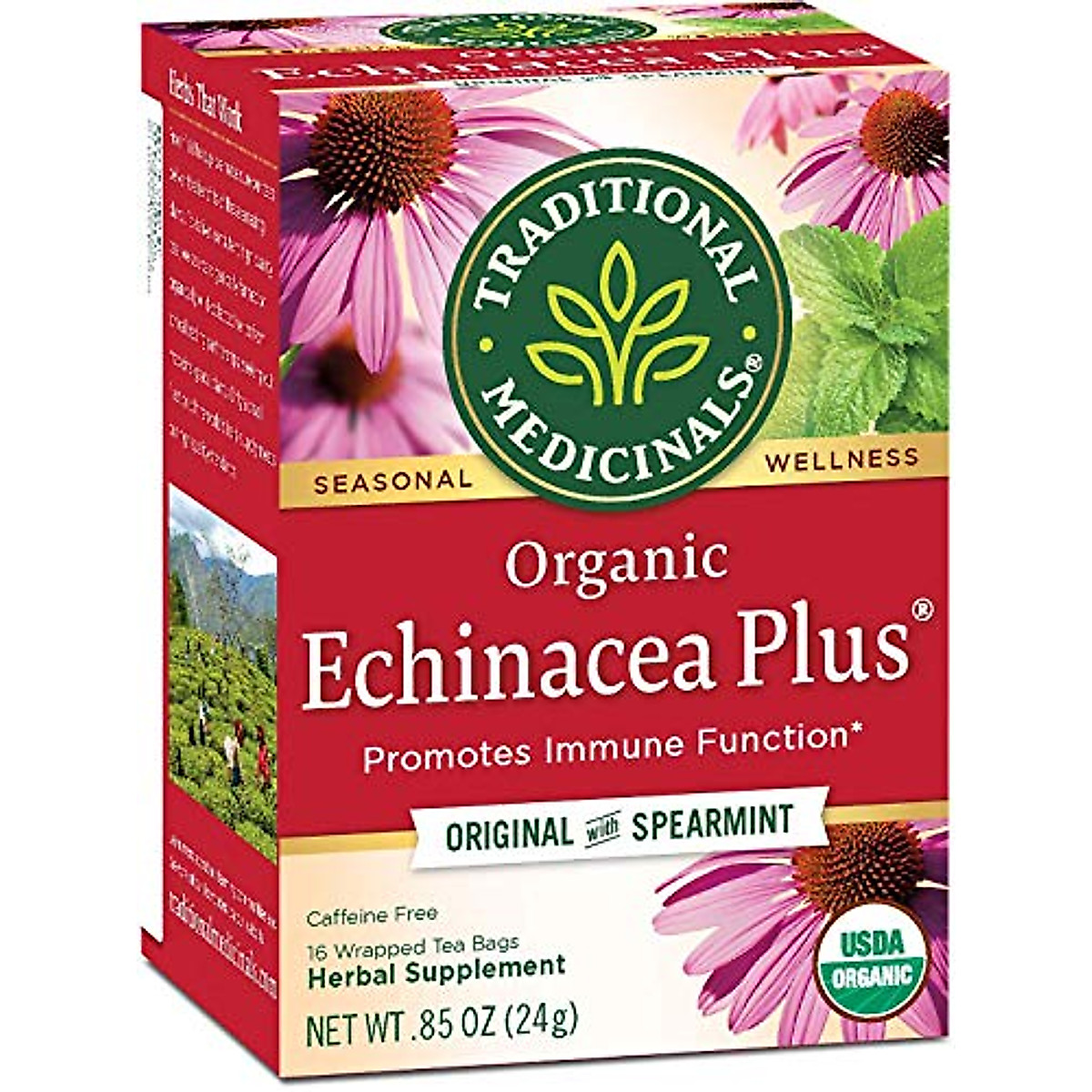 Traditional Medicinals Tea, Organic Echinacea Plus, Promotes Immune Function, w/ Spearmint, 96 Tea Bags (6 Pack)
