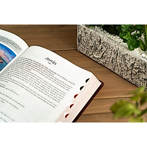 Santa Biblia Reina Valera 1960 Letra Gigante con Indice Foro de Semil Piel en color caoba con cafe claro Incluye fotos y ilustraciones