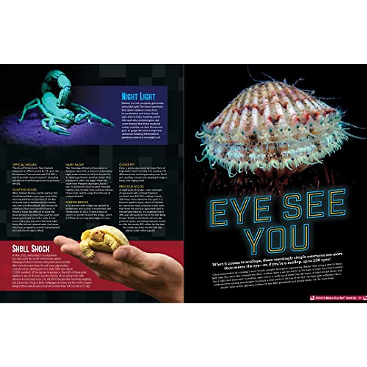 Ripley's Believe It Or Not! Level Up (20) (ANNUAL)