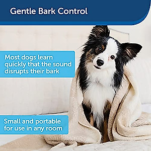 PetSafe Single Room Indoor Dog Bark Control - Ultrasonic Device to Deter Barking Dogs - No Collar Needed - Up to 25 ft Range - Automatic Anti-Bark Pet System