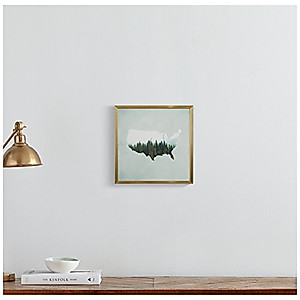 Amazon Brand – Rivet American Forest Map Wall Art Print in Gold Wood Frame, 12" x 12"