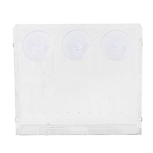 Exquisite Transparent Water Grass Cup, Safe 3 Suction Cups Design Aquarium Plant Cup, Tank Aquarium Aquarium Tank Decor for Landscape Plants Cultivation