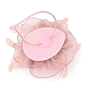 DRESHOW Fascinators Hat Tea Party Headwear Ribbons Feathers on a Headband and a Clip for Girls and Women