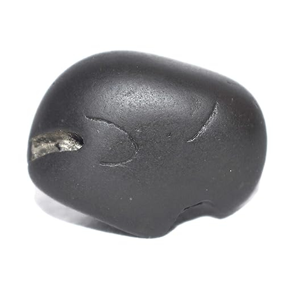 Rudrakshguru Hayagriva Shaligram - Gandaki River Nepal