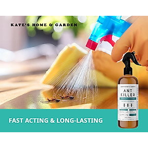 Kate's Home & Garden Ant Killer Indoor Safe for Pets and Kids (16oz) Roach & Ant Killer Spray for Indoor & Outdoor. Insecticide for Ants and Roaches with Natural Cedarwood Oil