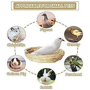 Fhiny Handmade Woven Bird Spawning Nest with Coconut Fiber Liner Flat Base Straw Bird Nest Bed Hatch Roosting for Dove Pigeon Parrot Turtle Quail Macaw Cuckoo Sparrow