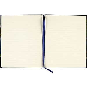 Hummingbird Dreams Journal