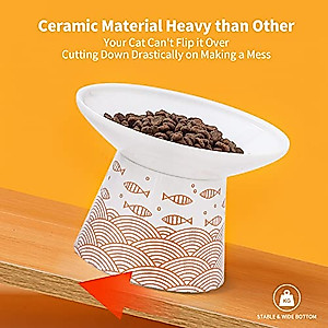 6.25 Inch Extra Wide Elevated Ceramic Cat Bowls, Food and Water Bowl Set for Elder Big Cats Small Dogs, Raised Design for Pet Easy Eating, Protect Cat's Spine, Blue & Orange, Set of 2