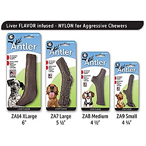 Pet Qwerks Nylon Antler Liver Flavor - Durable Dog Bones for Aggressive Chewers, Tough Nearly Indestructible Chew Proof Toys | Made in USA - for Large & Medium Dogs (A7)