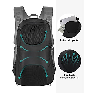 WATERFLY Lightweight Day Hiking Backpack: Travel Waterproof Daypack Trekking Bagpack Hike Day Bag for Camping Climbing Man Woman