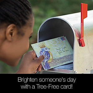 Tree-Free Greetings - Birthday Cards - Artful Designs - 8 Cards + Matching Envelopes - Made in USA - 100% Recycled Paper - 5"x7" - Lisa Morales Bird All Occasion,Thinking of You,Birthday (AGA1127)