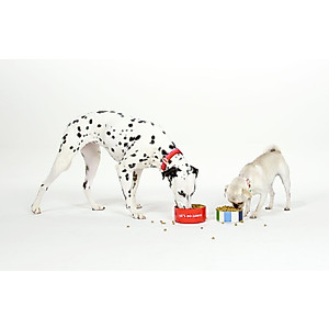 kate spade new york Dog Dish for Food and Water, Stainless Steel Bowl with Non-Slip Base, 2 Cup (16oz) Capacity, Small Pet Food Bowl or Water Dish for Dogs, Adventure Stripe