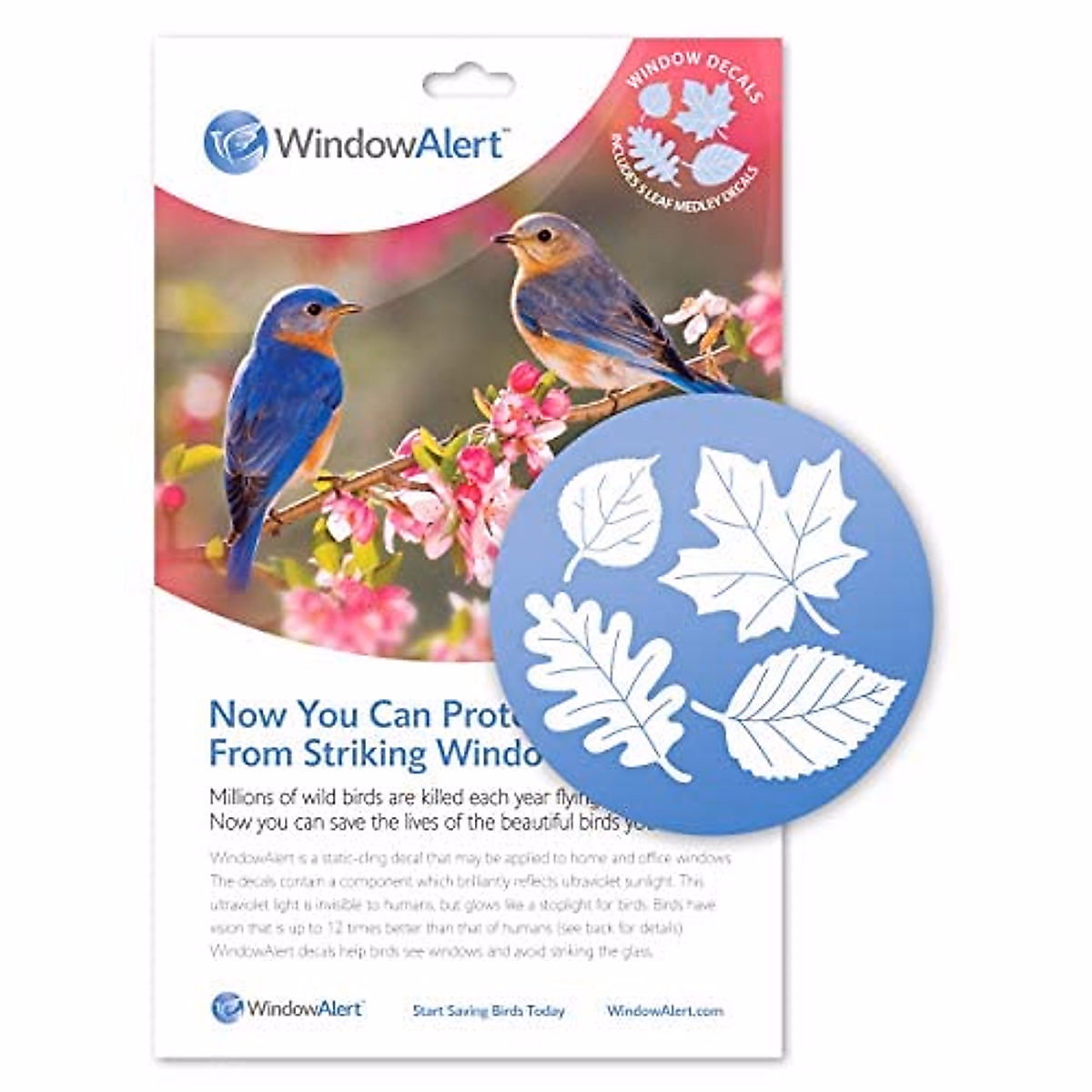 WindowAlert Leaf Medley Anti-Collision Decal - UV-Reflective Window Decal to Protect Wild Birds from Glass Collisions - Made in The USA