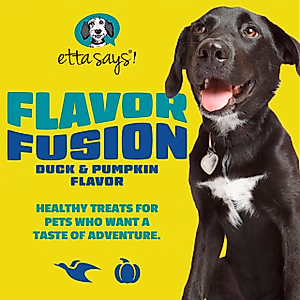 etta says! Flavor Fusion - All Natural Rawhide Free Chews for Dogs 2oz Chew - Duck and Pumpkin - Made in The USA (12 Count Pack of 1)