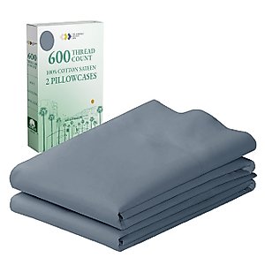 Luxuriously Soft Hotel Quality 600 Thread Count, 100% Cotton Set of 2 Cases, Crisp & Cool Standard Pillow Cases Set of 2 Fits Standard & Queen Pillows (Pastel Blue)