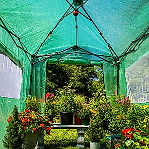 EAGLE PEAK 8x6 Portable Walk-in Greenhouse Instant Pop-up Indoor Outdoor Plant Gardening Green House Canopy, Front and Rear Roll-Up Zipper Entry Doors and 2 Large Roll-Up Side Windows, Green